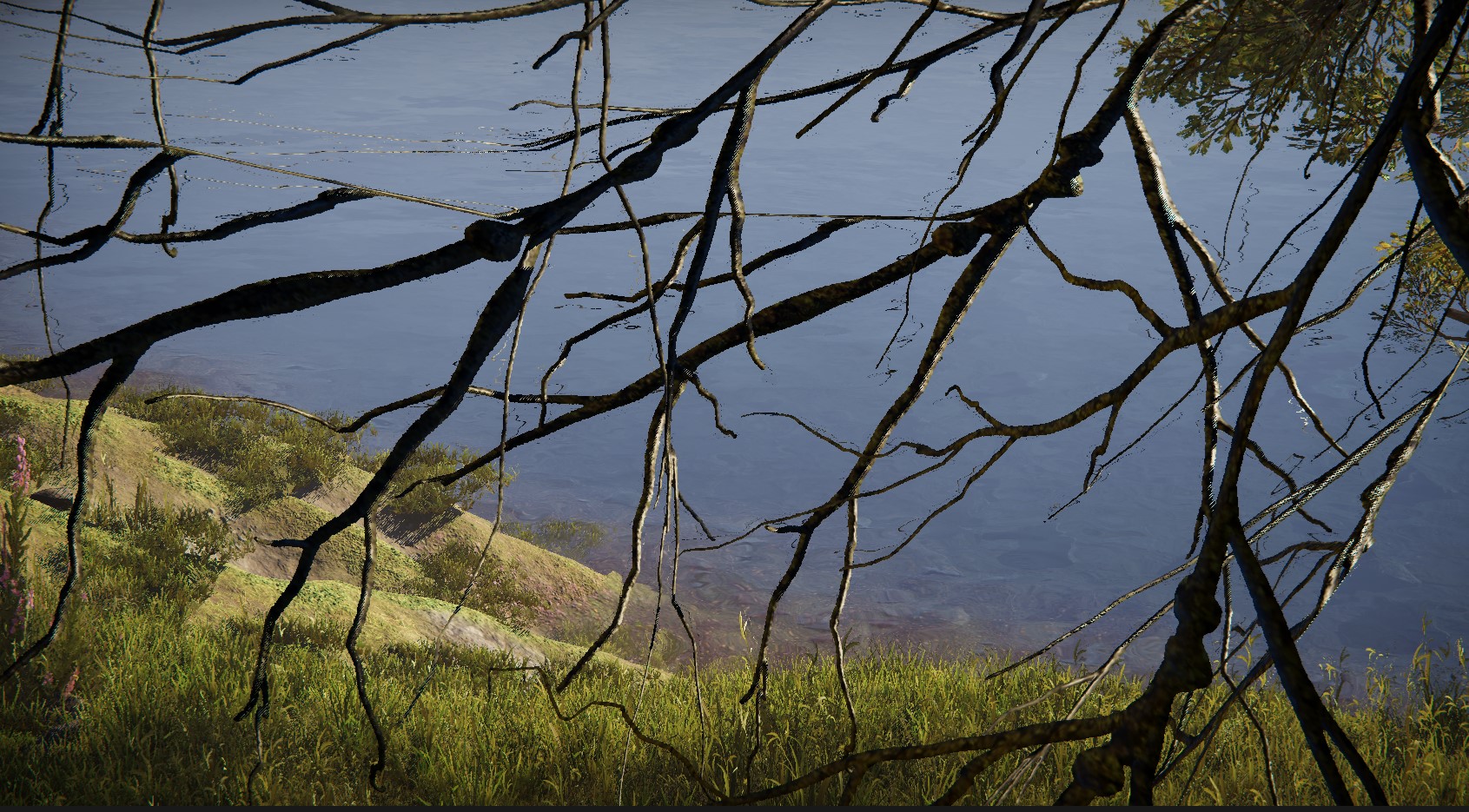 Unity Terrain - HDRP Demo Scene - Unity Engine - Unity Discussions